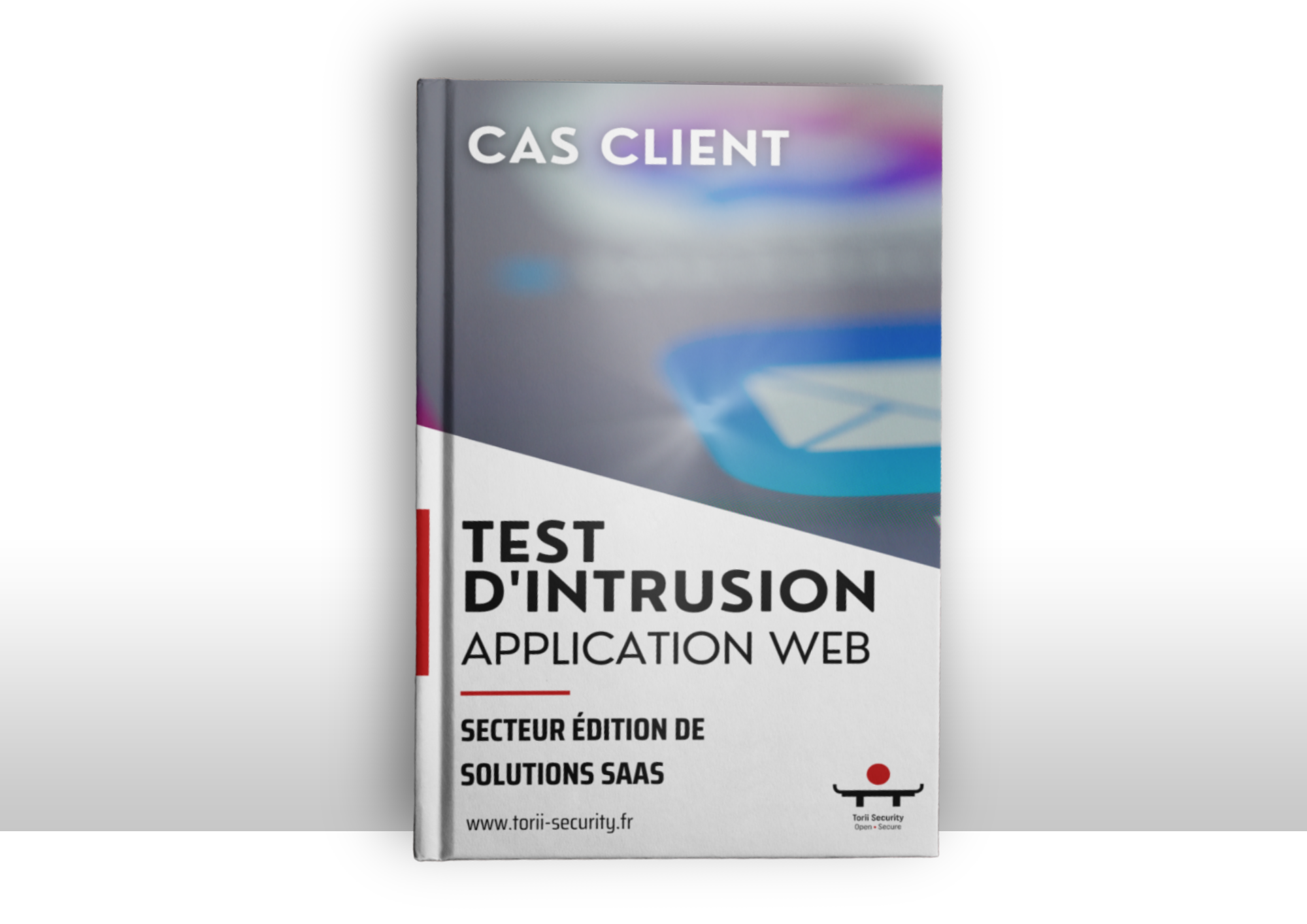 Cas client - Torii Security